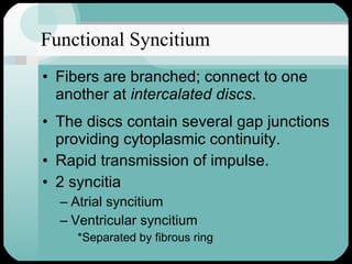 Cardiac muscle | PPS