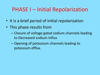 Cardiac muscle (The Guyton and Hall Physiology) | PPTX