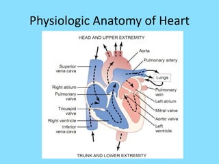 Cardiac muscle (The Guyton and Hall Physiology) | PPTX