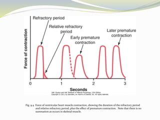 cardiac muscle.ppt