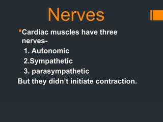 CARDIAC MUSCLE .pptx n n | PPTX