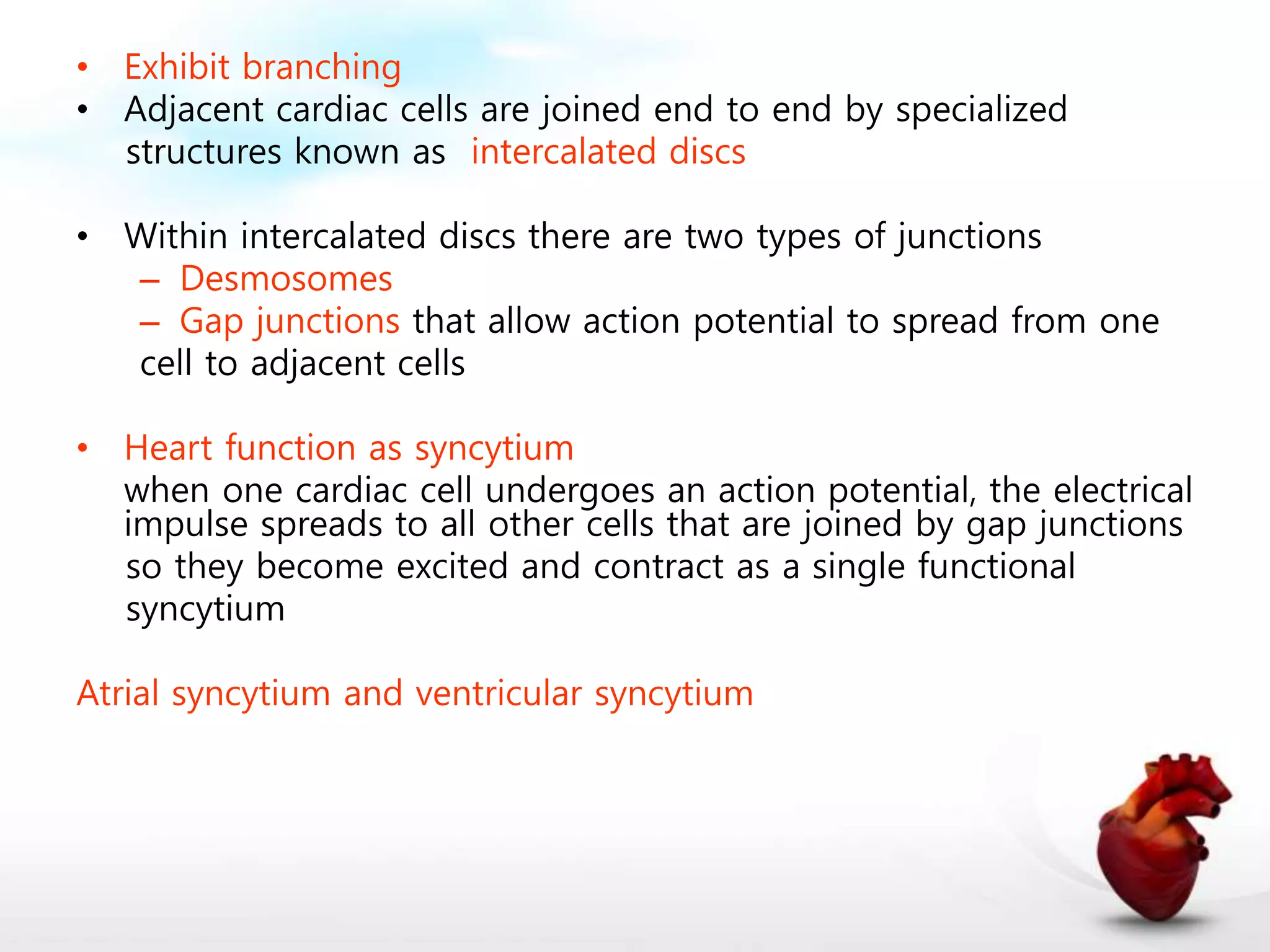Cardiac muscle physiology | PPTX