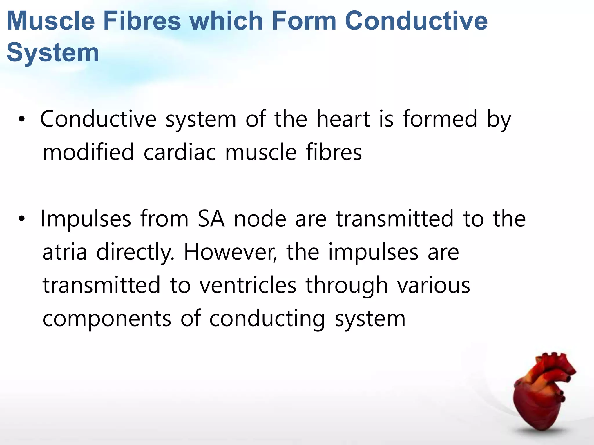 Cardiac muscle physiology | PPTX