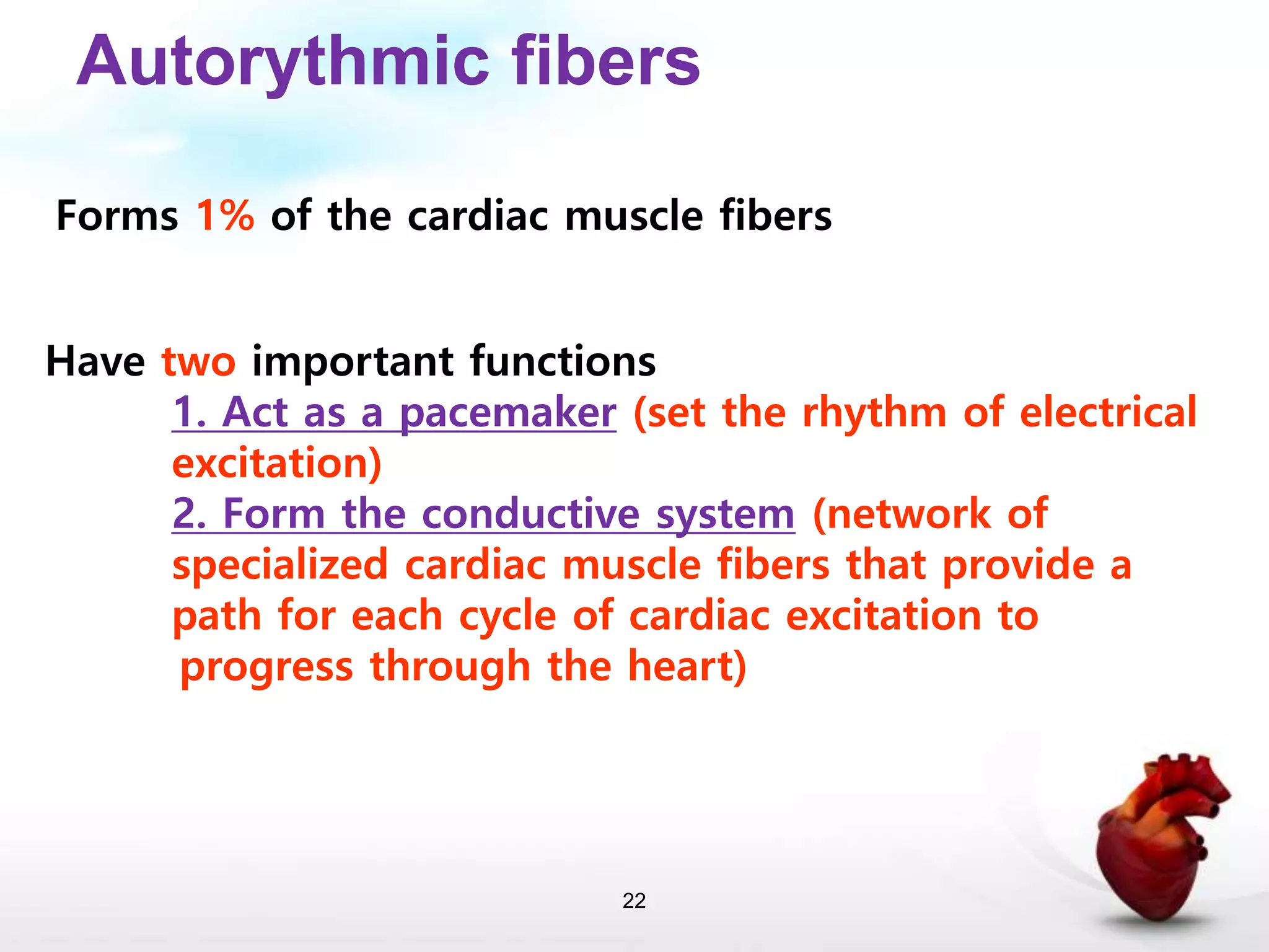 Cardiac muscle physiology | PPTX