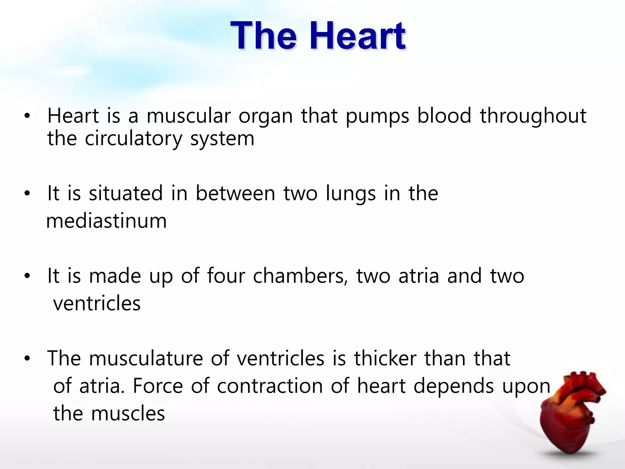 Cardiac muscle physiology | PPTX