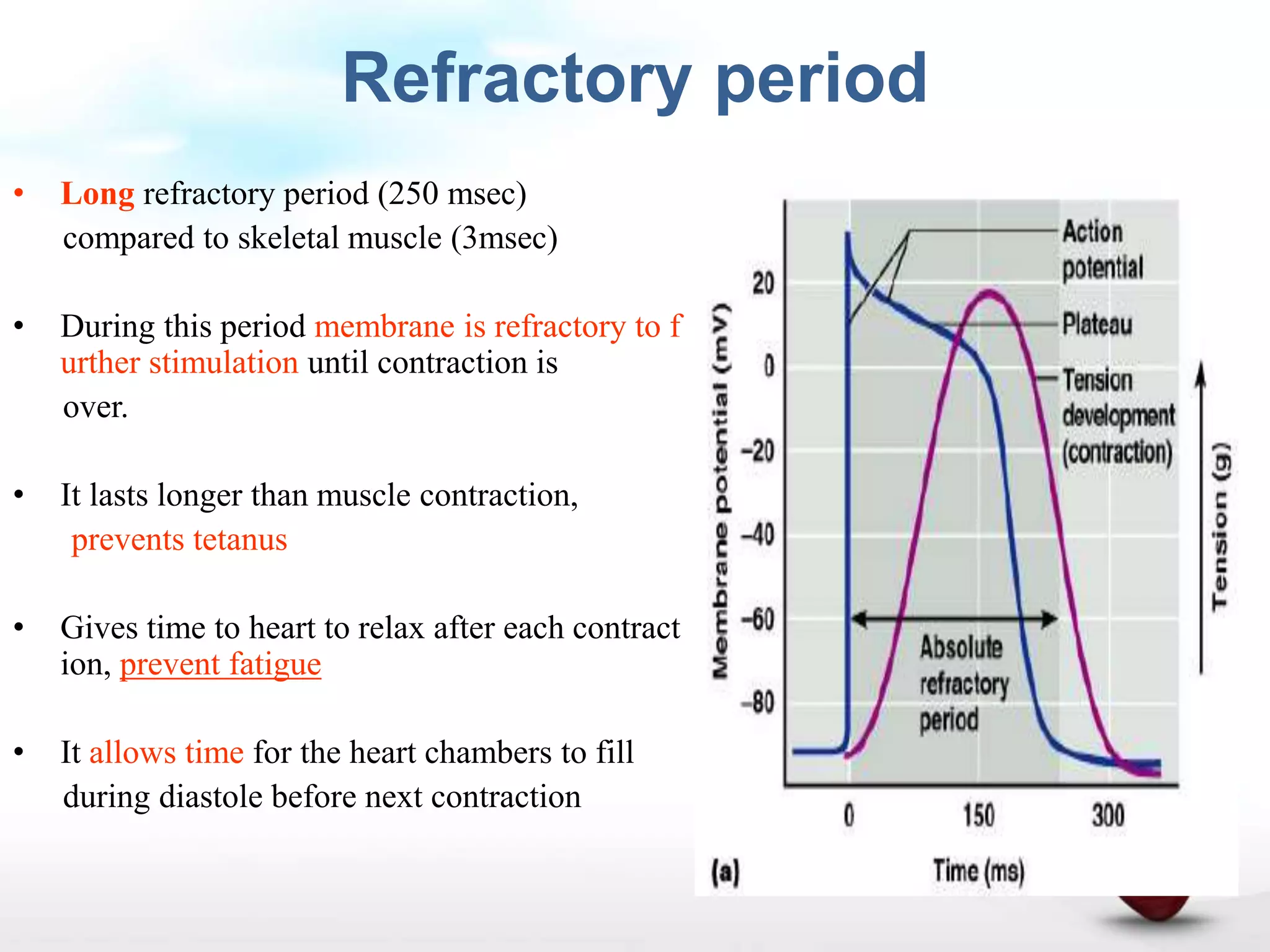 Cardiac muscle physiology | PPTX