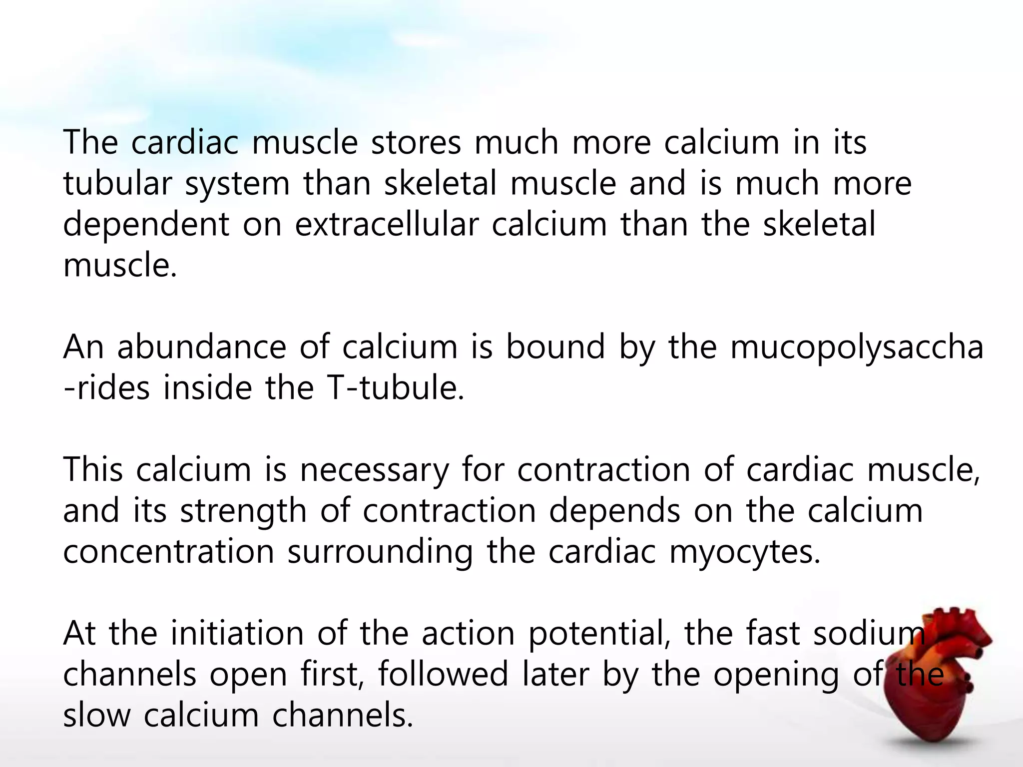 Cardiac muscle physiology | PPTX | Heart and Cardiovascular Diseases ...