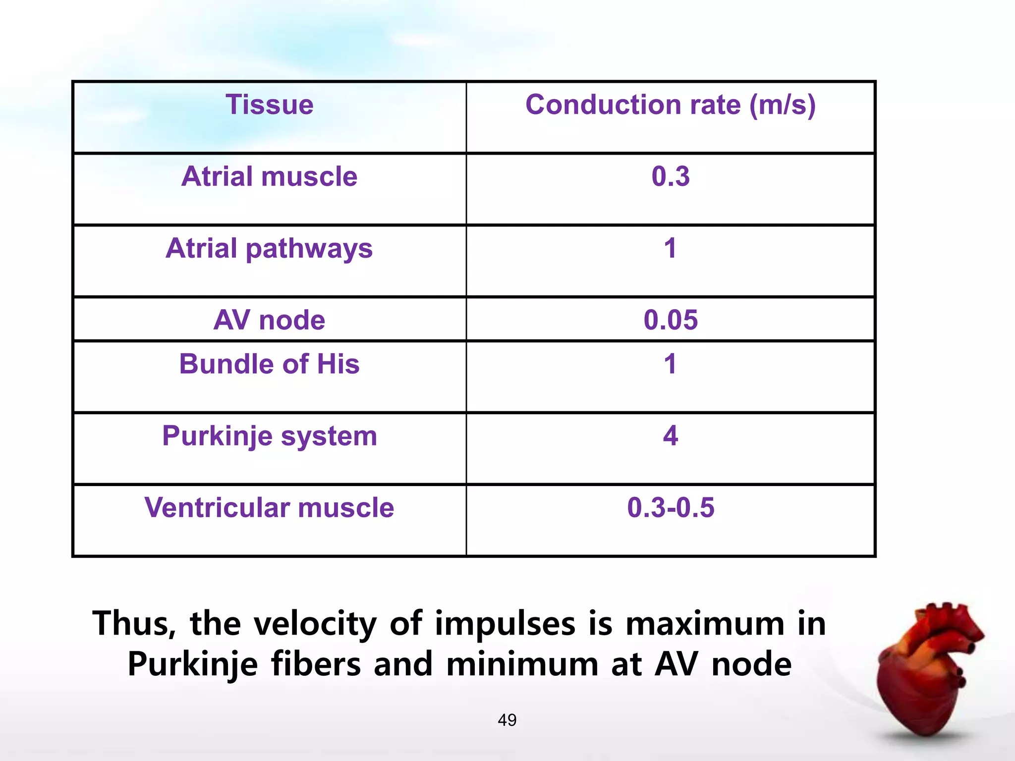 Cardiac muscle physiology | PPTX