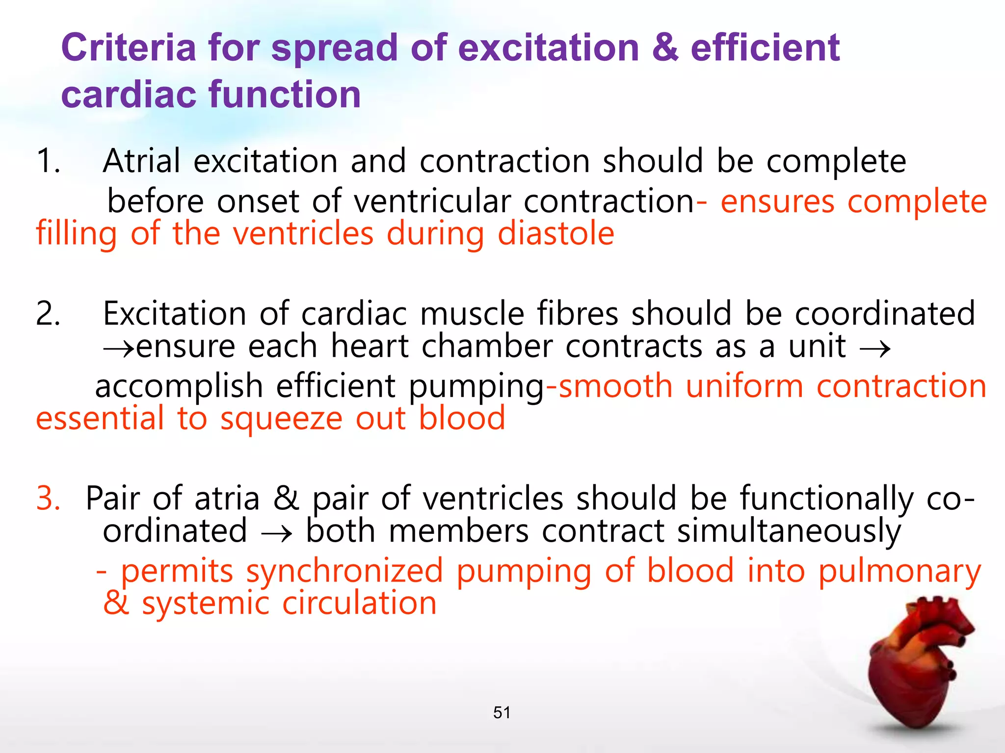 Cardiac muscle physiology | PPTX