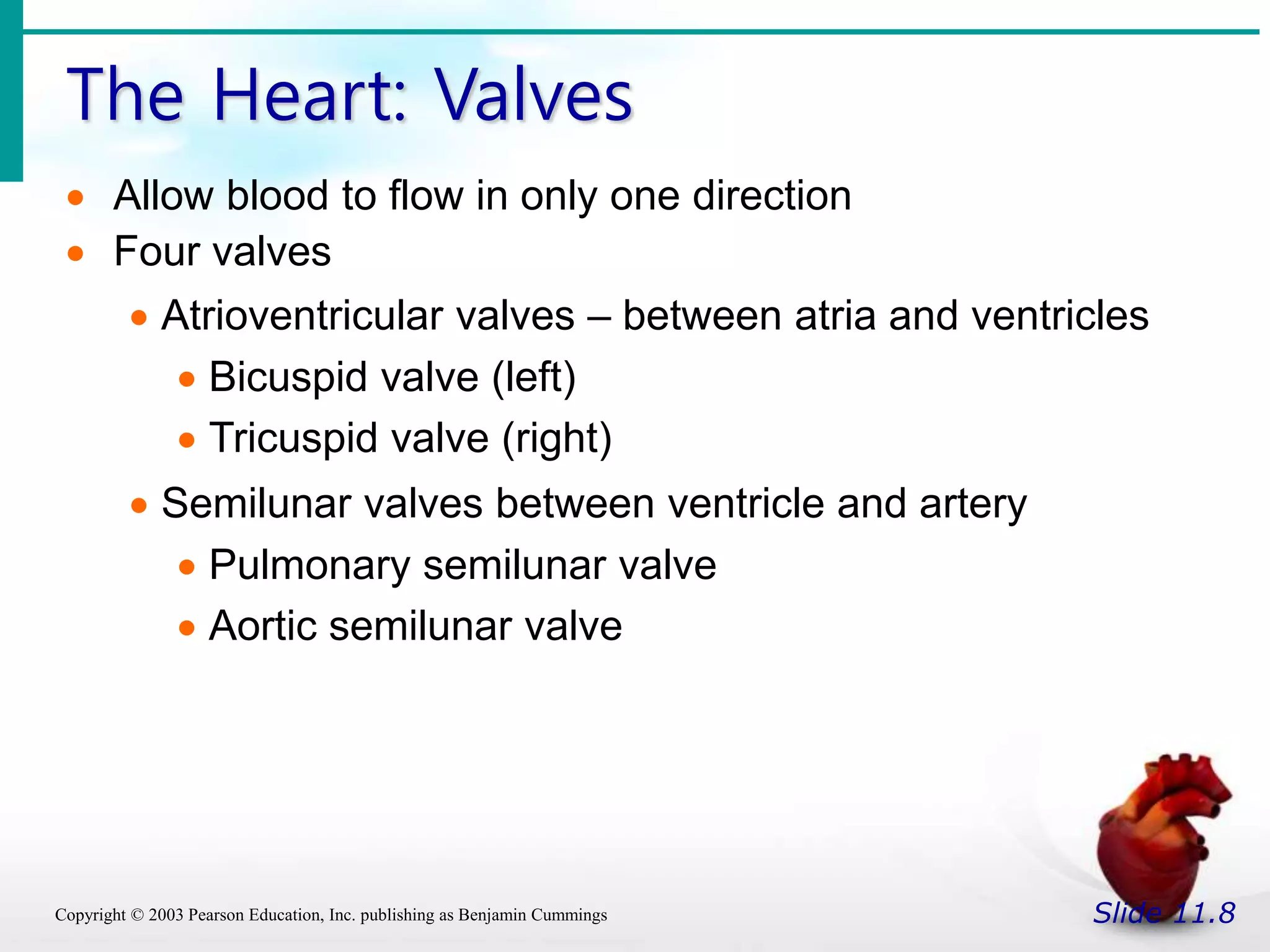 Cardiac muscle physiology | PPTX