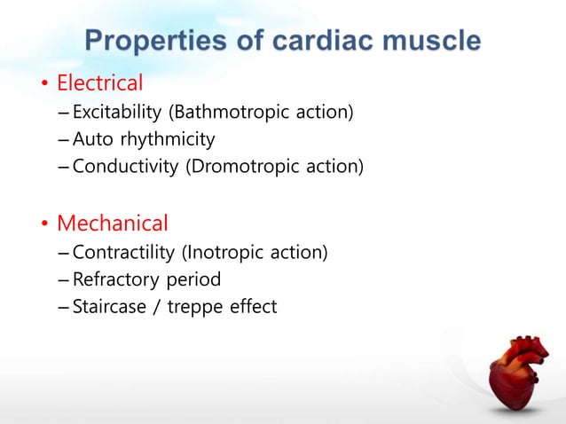 Cardiac muscle physiology | PPTX | Heart and Cardiovascular Diseases ...
