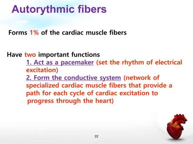 Cardiac muscle physiology | PPTX | Heart and Cardiovascular Diseases ...