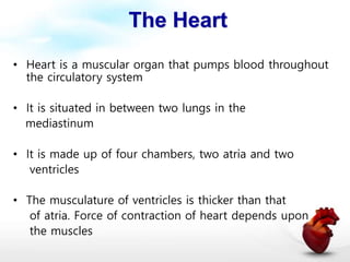 Cardiac muscle physiology | PPTX
