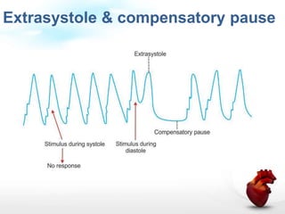 Cardiac muscle physiology | PPTX
