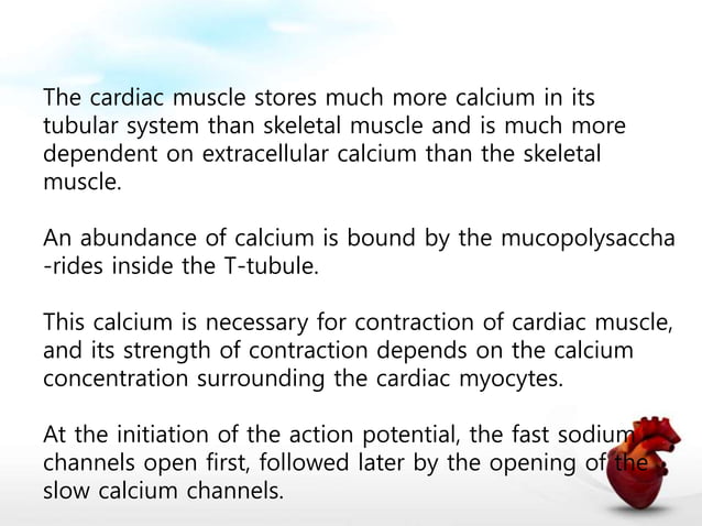 Cardiac muscle physiology | PPTX | Heart and Cardiovascular Diseases ...