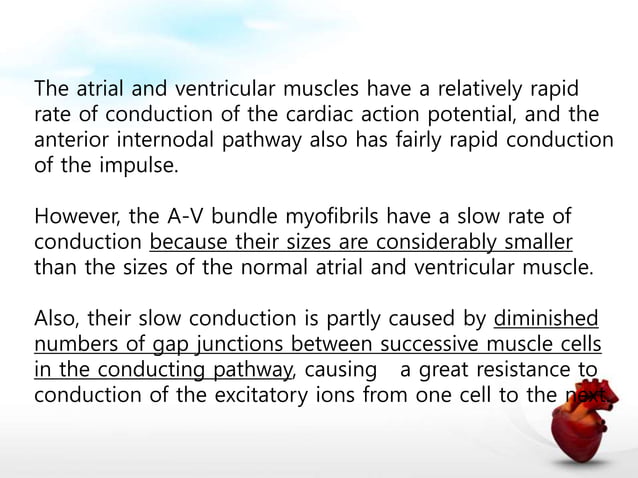 Cardiac muscle physiology | PPTX | Heart and Cardiovascular Diseases ...