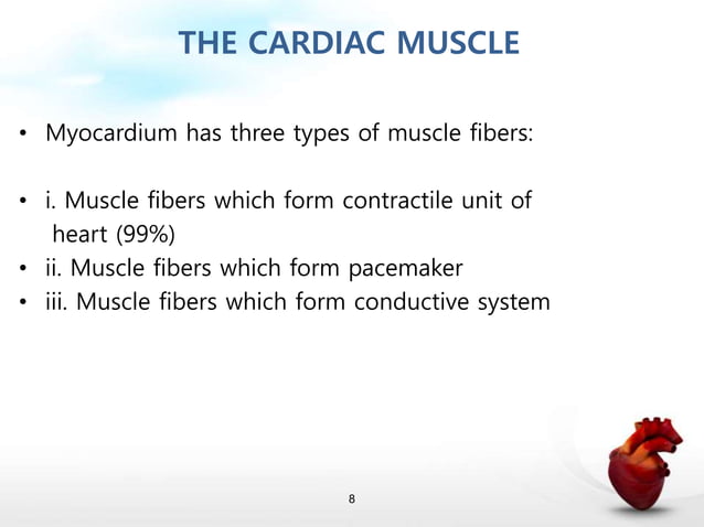 Cardiac muscle physiology | PPTX | Heart and Cardiovascular Diseases ...