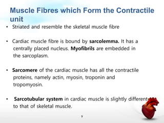 Cardiac muscle physiology | PPTX
