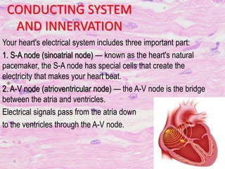 Cardiac muscle tissue | PPTX
