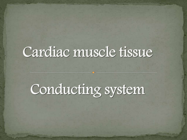 Cardiac muscle tissue and conducting system | PPTX