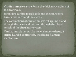 Cardiac muscle tissue and conducting system | PPTX