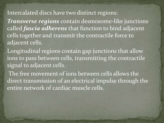 Cardiac muscle tissue and conducting system | PPTX
