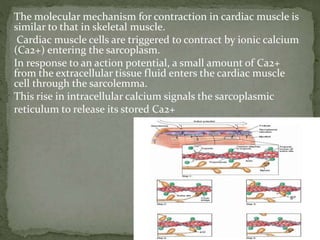 Cardiac muscle tissue and conducting system | PPTX