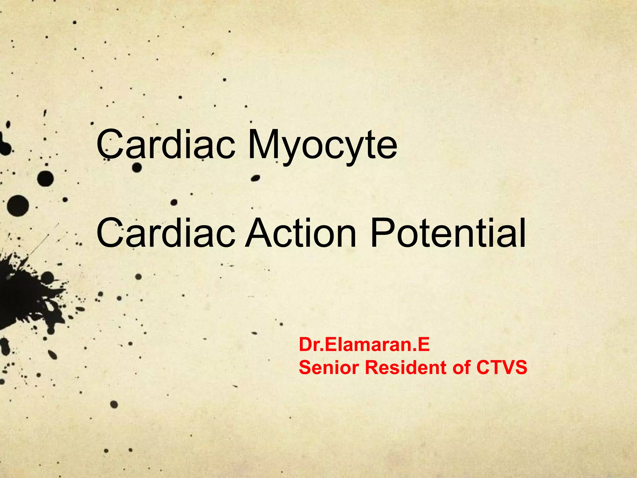 Cardiac myocytes | PPTX