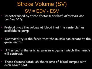 Cardiac output | PPT