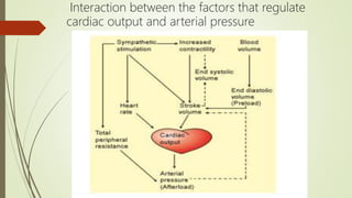 Cardiac output by Dr. Amruta Nitin Kumbhar Assistant Professor, Dept ...