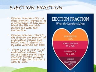 Cardiac Output | PPTX