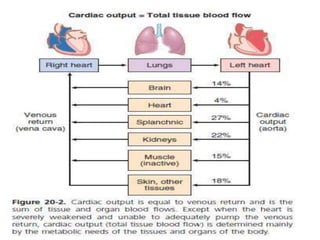 Cardiac Output | PPTX