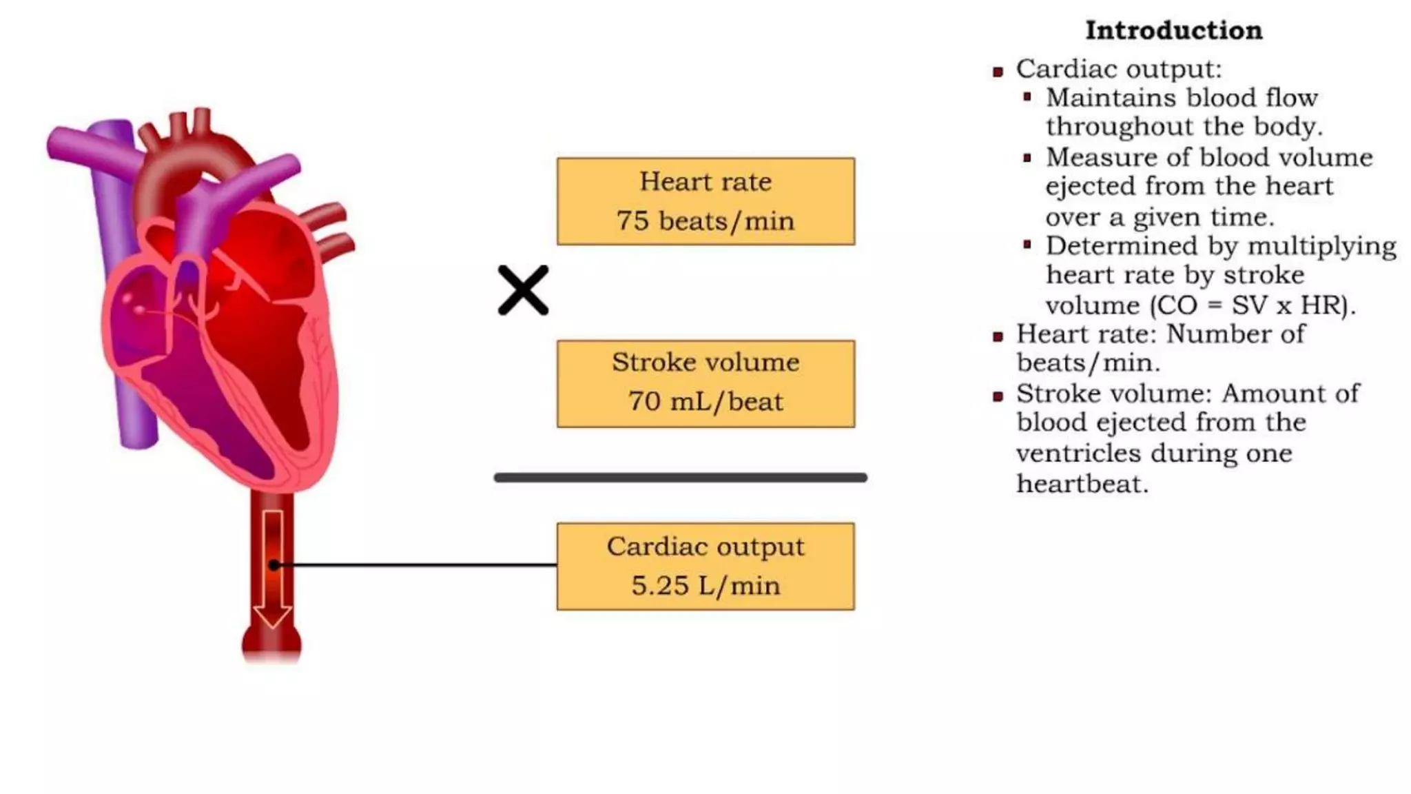 cardiac output.pptx