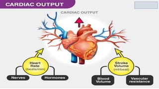cardiac output.pptx