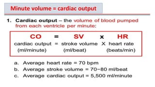 cardiac output.pptx
