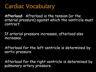 CardiacOutput.ppt