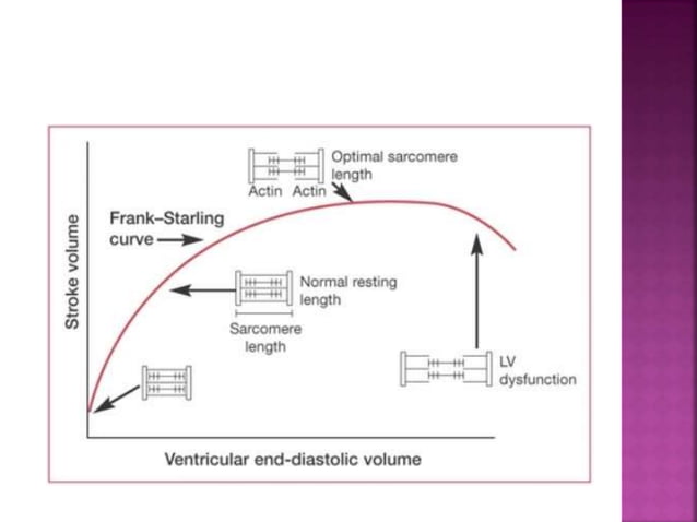 Cardiac Output Factors Responsible And Effecting Ppt