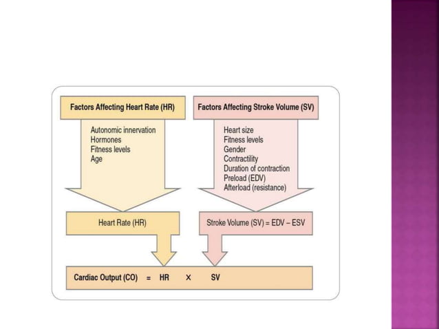 Cardiac output factors responsible and effecting | PPT