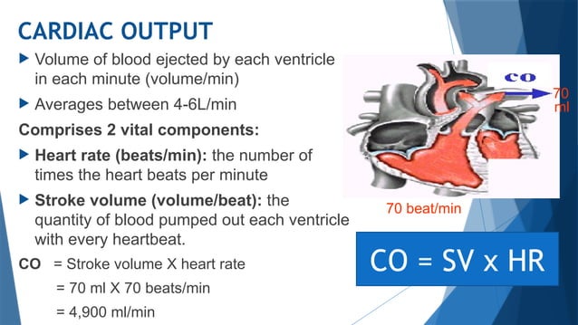 Cardiac output preload afterload in heart | PPTX | Heart and Cardiovascular Diseases | Diseases ...