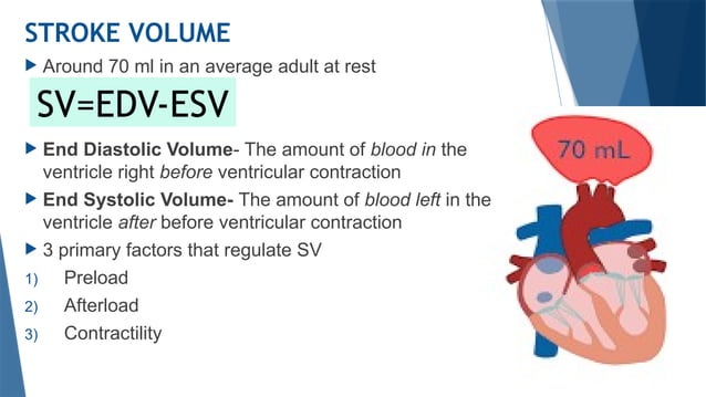 Cardiac output preload afterload in heart | PPTX | Heart and ...