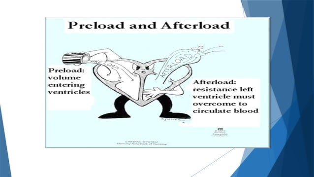 Cardiac output preload afterload in heart | PPTX | Heart and ...