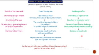 cardiac output.pptx cardiology physiology | PPTX