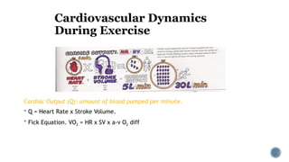 Cardiac Output details assessment anatomy.pptx