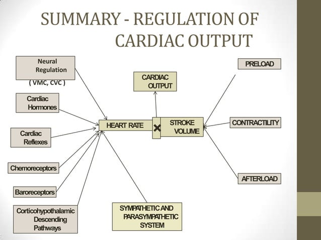 cardiacoutput2-131218012010-phpapp02.pptx