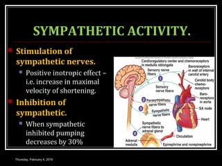 Cardiac output 2 | PPT