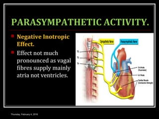 Cardiac output 2 | PPT