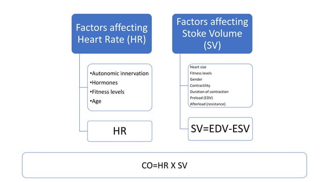 Cardiac Output and its Regulation.pptx | Heart and Cardiovascular ...