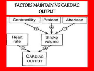 CARDIAC OUTPUT ,REGULATION AND FACTORS AFFECTING CARDIAC OUTPUT .pptx