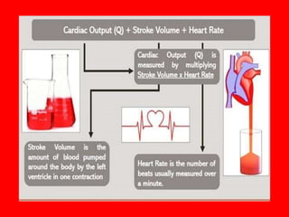 CARDIAC OUTPUT ,REGULATION AND FACTORS AFFECTING CARDIAC OUTPUT .pptx