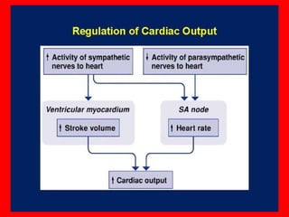 CARDIAC OUTPUT ,REGULATION AND FACTORS AFFECTING CARDIAC OUTPUT .pptx